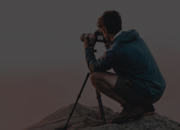 Our Portfolio | PieSoft